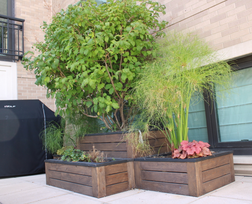 Rooftop Garden Retreat - Loop - Urban Rooftops - Chicago Roof Decks